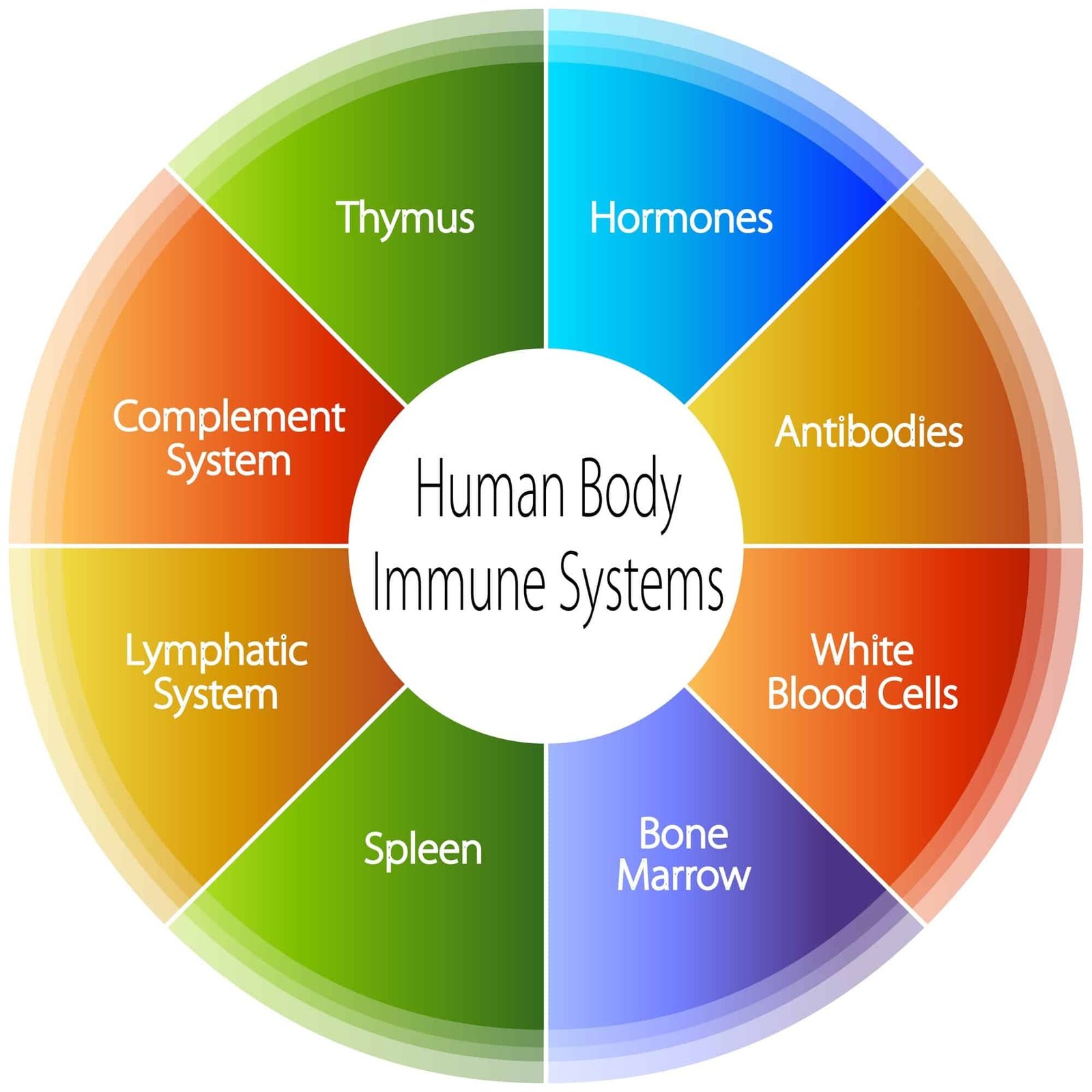 5 Common Things That Can Deplete Your Immune System Better Health